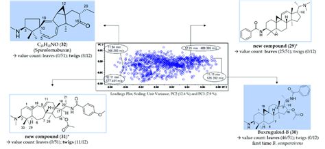 Assignment Of Unique Features In The Loadings Plot Of Pc3 Vs Pc2