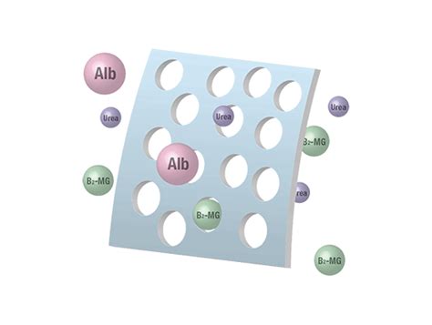 Elisio™ Hx Nipro Asia Live Longer Live Better Nipro Asia Live