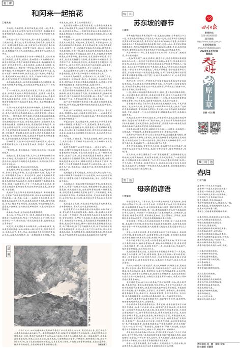 苏东坡的春节 四川日报电子版