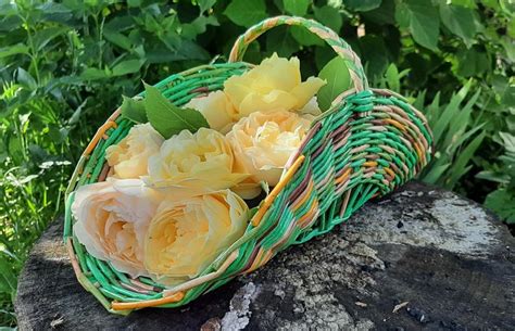 Кошик з паперової лози