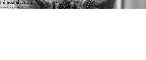 Cara Membuat Full Screen Background Html And Css Digonyze