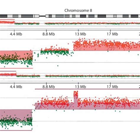 Cgh Findings For Patients 2 And 3 With Inv Dup Del8p Patient 2 Download Scientific Diagram