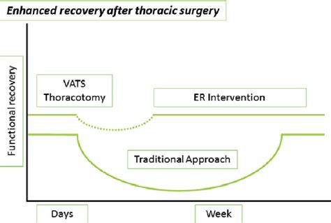 Multidisciplinary Approach To The Eras Protocol Download Scientific Diagram