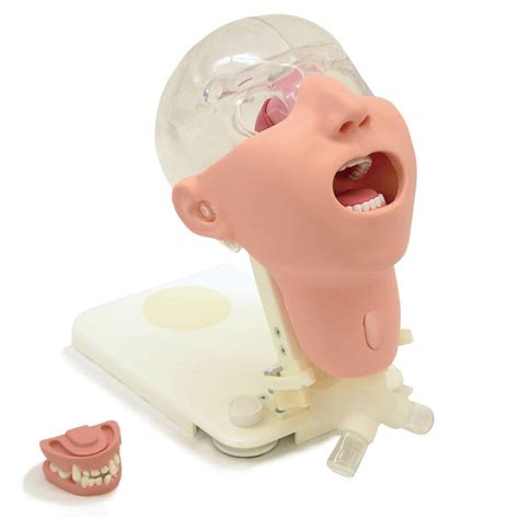 Oral Care Simulator Advanced Sem Trainers