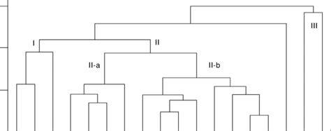 Dendrogram Resulting From Single Linkage Cluster Analysis Slca Of 18 Download Scientific