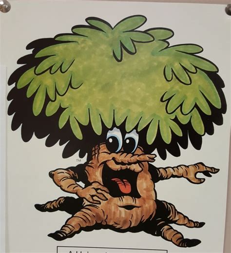 University Of Calgary Eigenblogger