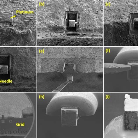 Sample Preparation For Nano Ct And Fib Sem Using Fib Milling And