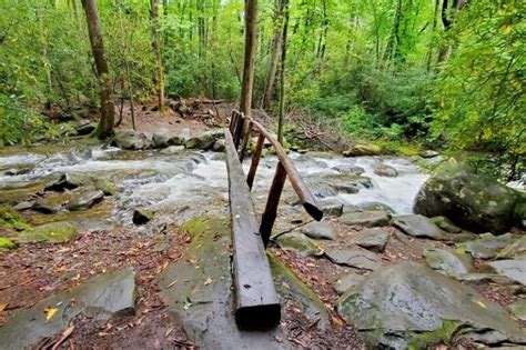 Cosby Campground Is Quiet September Things To Do Nearby In