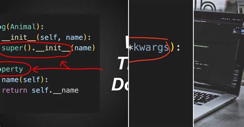 List Python Curated By Kelly Justin Wilson Medium
