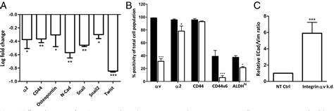 Figure 3 From Tumorigenesis And Neoplastic Progression Integrin V Expression Is Required For The