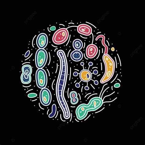 Bacteria Cell Vector Hd Images Round Composition Of Bacterias Cells