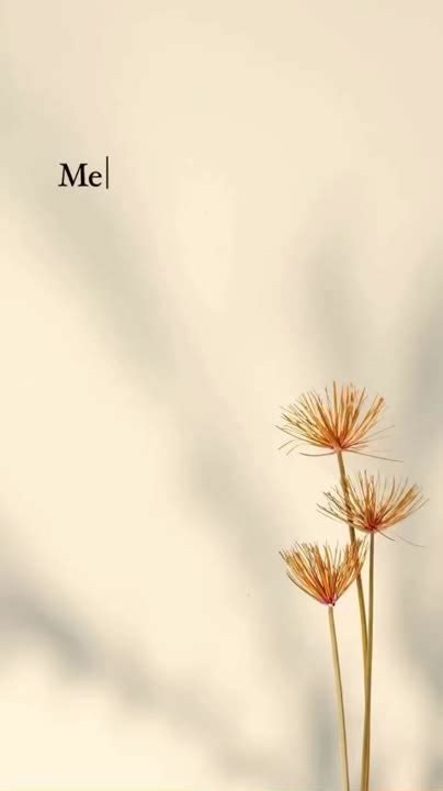 [video] gülşah g on linkedin 🤍