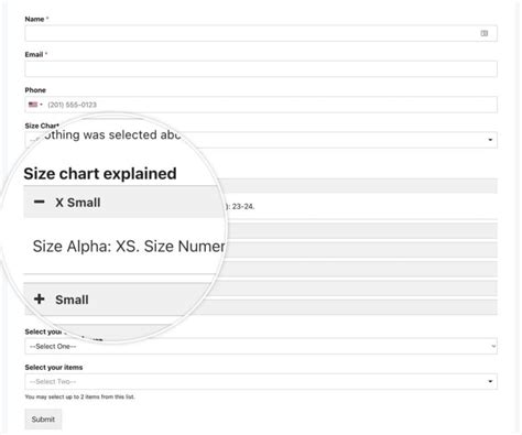 How To Display Shortcodes Inside The Html Field