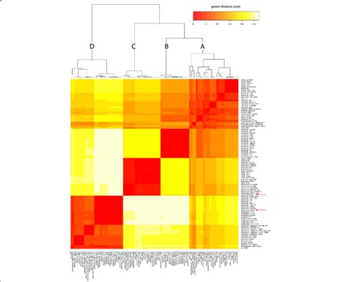 Core Genome Clustering Of Genus Lactobacillus Heatmap Clustering
