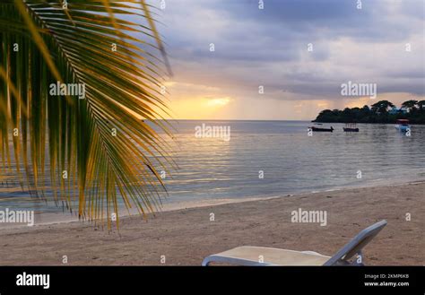 Sunset At The Beach With Palm Trees In Negril Jamaica Caribbean