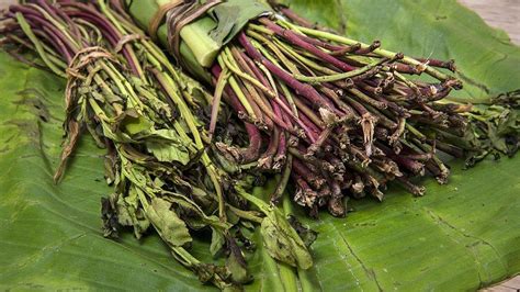 Banned Khat Drug Pushed Underground In Wales Users Say Bbc News