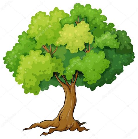 Tree Stock Vector By Interactimages 56876431