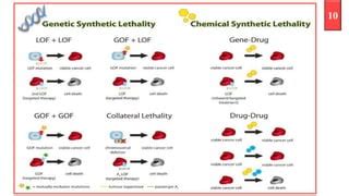Synthetic Lethality And Cancer PPTX
