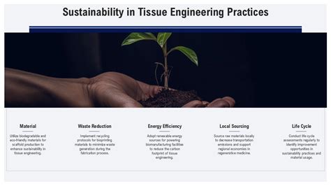 Sustainability In Tissue Engineering Practices Biofabrication Ppt