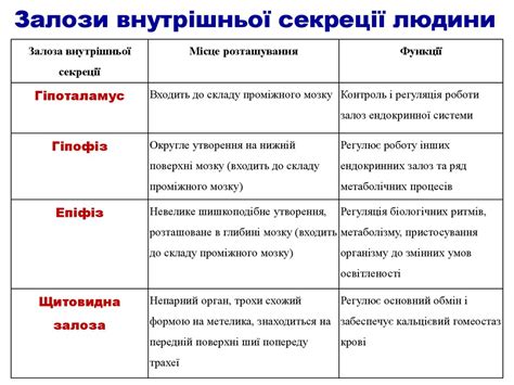 Залози внутрішньої секреції людини презентация онлайн