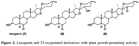 Laxogenin Can A Plant Sterol Safely Boost Strength