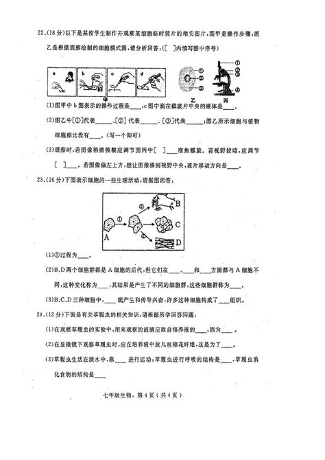 2019 2020石家庄市栾城区七年级生物上册期中试题含答案