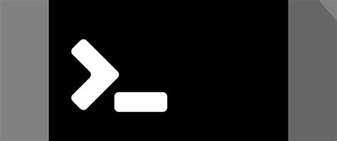 Copypasting Output From The Terminal Dev Community
