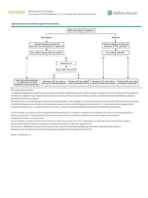 Algorithm For Acute Treatment Of Catatonia Uptodate Enes Pdf