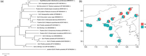Exploring The Potential Functional Relevance Of A Missense Mutation
