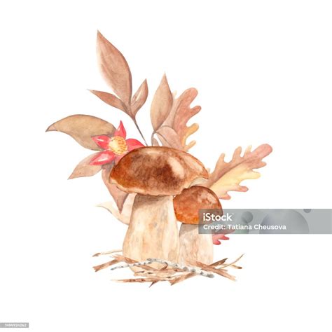 수채화 가을 숲 구성입니다 포르치니 버섯 참나무 잎 붉은 꽃이 만발한 가지 하얀 배경에 분리된 식물 손으로 그린 그림 인사말 카드 포스터 스티커 인쇄 디자인 및 장식에
