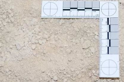 Examples Of The Different Types Of Soil Used Download Scientific Diagram