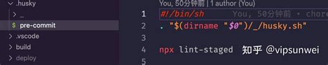 Husky 和 Lint Staged 入门指南：git 提交时自动进行代码校验和格式化 知乎
