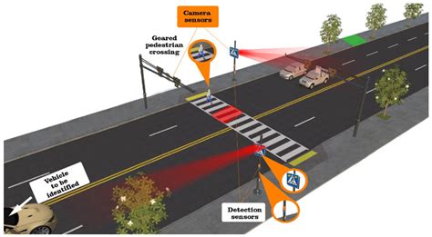 C Net Infotech Pvt Ltd