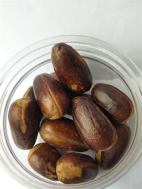 Long Nutmeg In Shell Starlaboratories Id