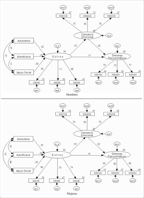 Sexo Como Moderador Modelos Estandarizados Download Scientific Diagram