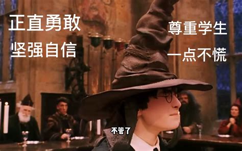 假如哈利是哈莉！ 霍格沃茨的华夏老师 霍格沃茨的华夏老师 哔哩哔哩视频