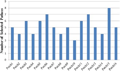 Number Of Adaptive Selected Patches For 16 Different Patches Download Scientific Diagram