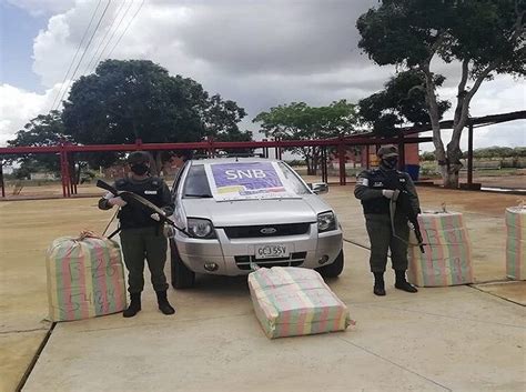La Gnb Incautó 1937 Kilos De Marihuana En Anzóategui
