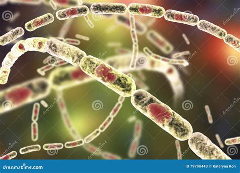 Bacteria Bacillus Anthracis Stock Illustration Illustration Of Life Disease 79798443