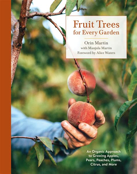 Fruit Trees For Every Garden By Orin Martin Penguin Books Australia