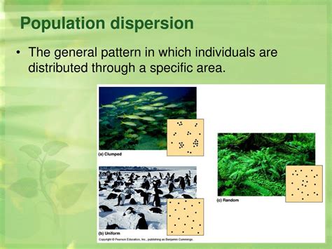 Ppt Population Ecology Powerpoint Presentation Free Download Id 2970861