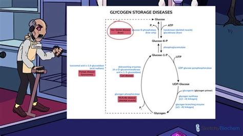 Glycogen Storage Disorders Dandk Organizer
