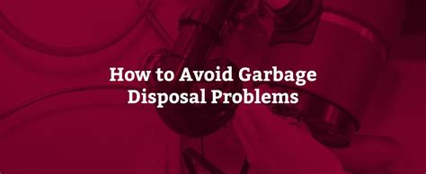 Avoid Garbage Disposal Issues Garbage Disposal Maintenance