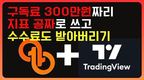 셀퍼럴 100 환급 가능 페이백 신청하고 지표 받아야해요 수익 극대화 전략 24년 11월 불장을 롱으로만 1140 롱잽이 전설의 그 지표 무료제공 Youtube