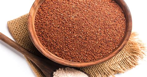 What Is Ragi Called In North India At Gabrielle Sutherland Blog