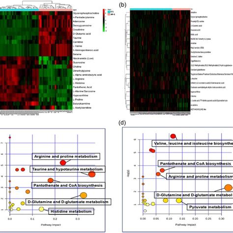 Heatmaps From Hierarchical Clustering Analysis And A Diagram Of The Download Scientific Diagram