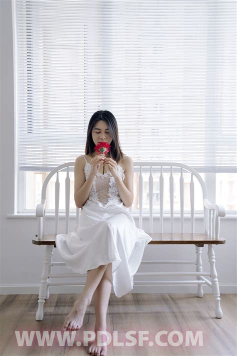 [pdl潘多拉] No 530 微图坊