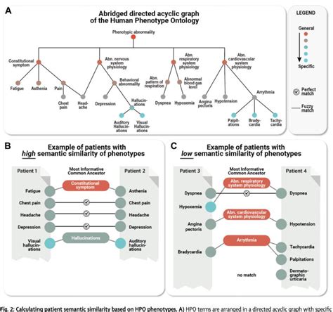 Jung Hoon Son M D On Linkedin Chatgpt Deep Learning And The Like Do Not Make Ontologies And