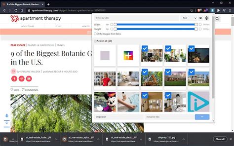 Image Downloader Chrome Extension