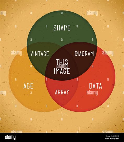 Infographics With Intersecting Circles Stock Vector Image Art Alamy